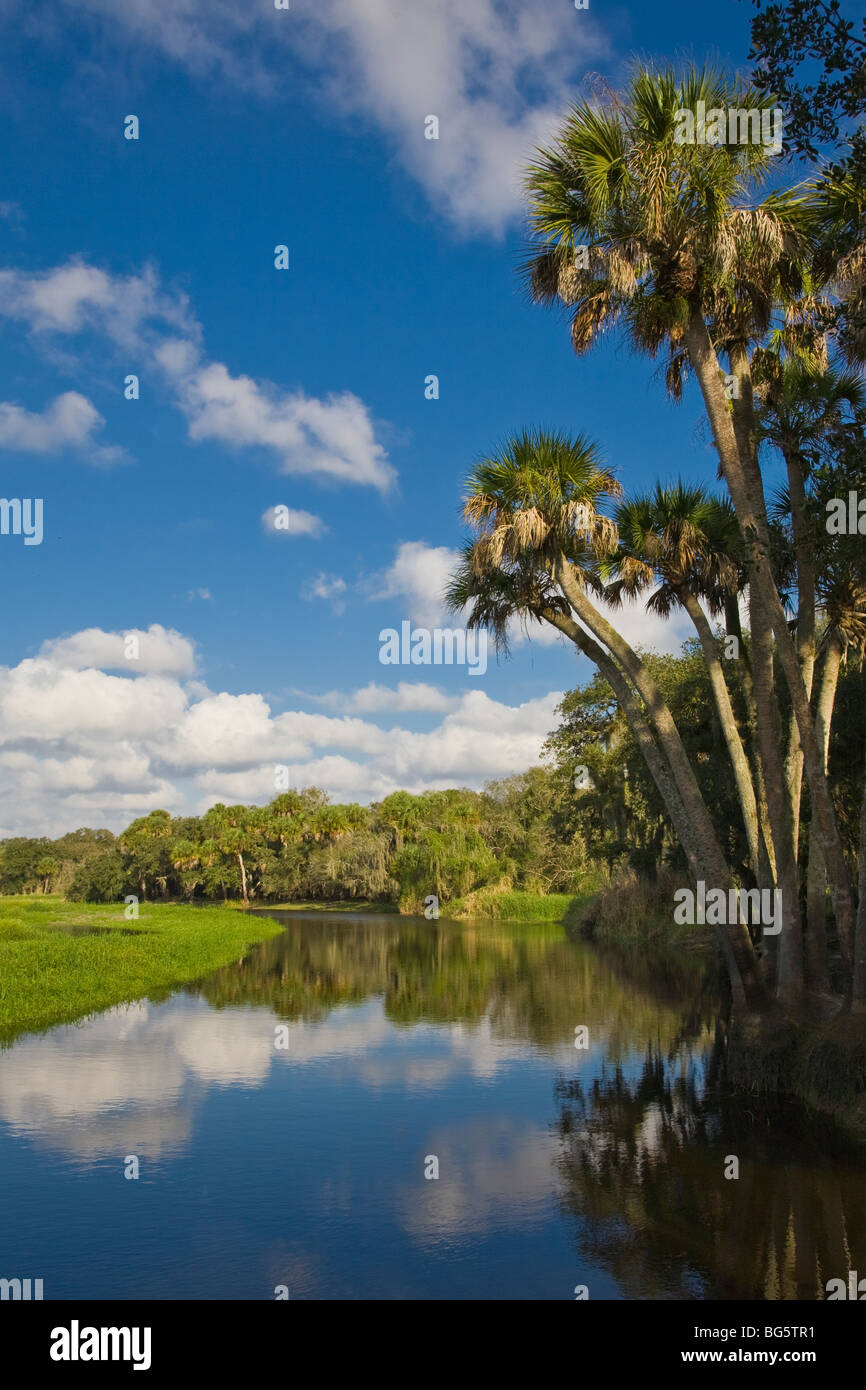 Myakka River in Myakka River State Park Sarasota Florida Stock Photo ...