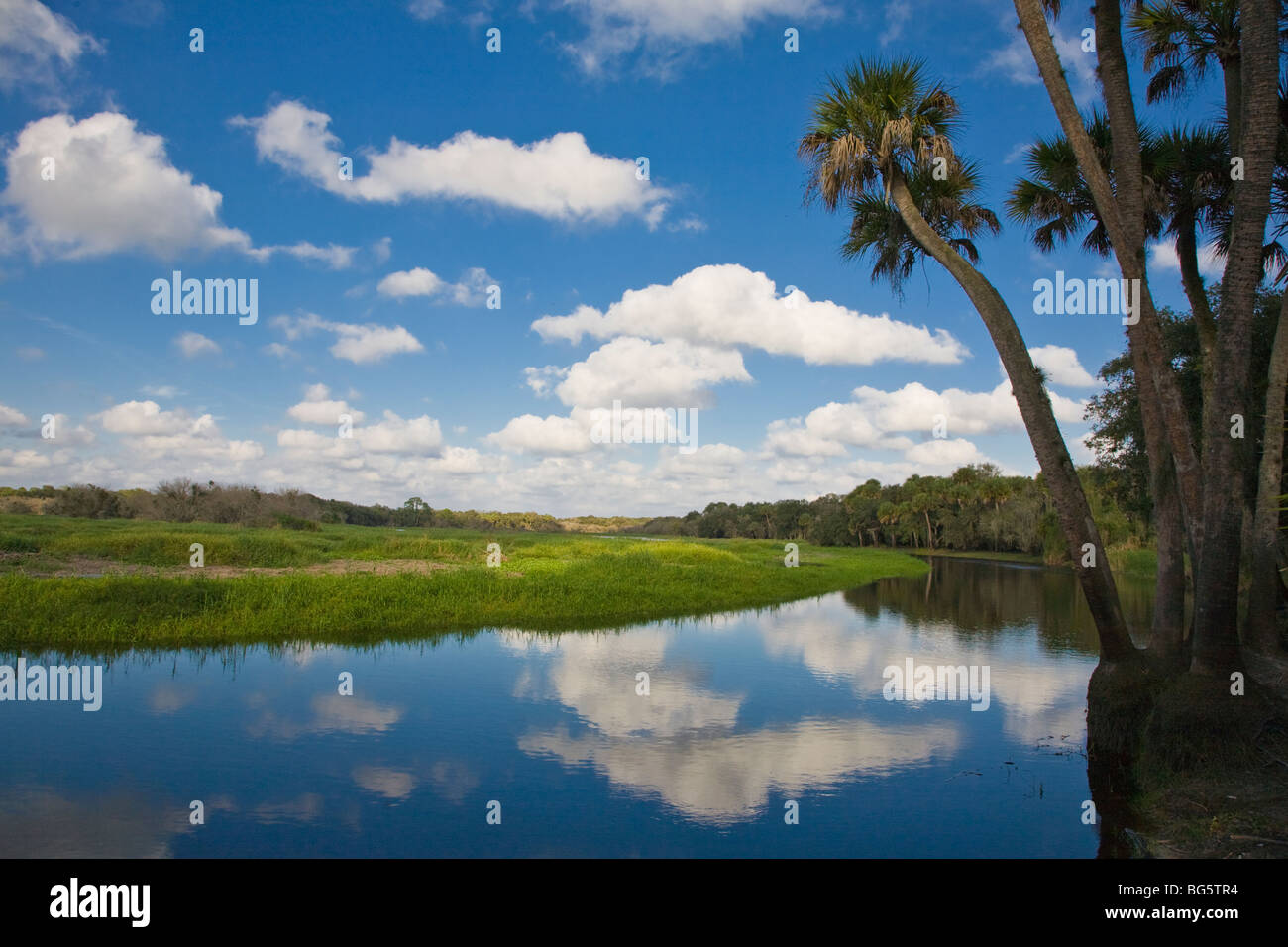 Myakka River in Myakka River State Park Sarasota Florida Stock Photo ...