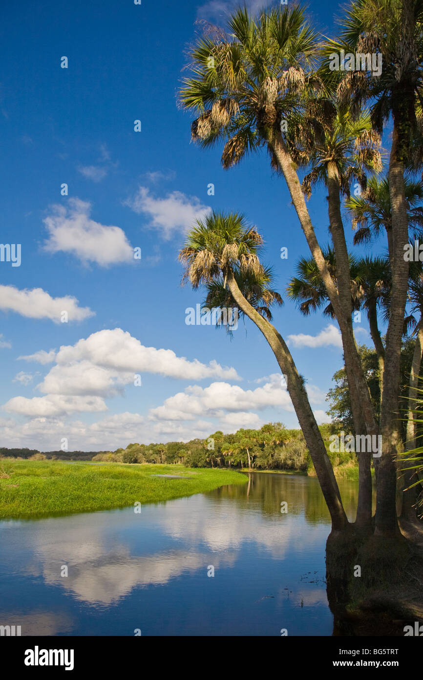 Myakka River in Myakka River State Park Sarasota Florida Stock Photo ...