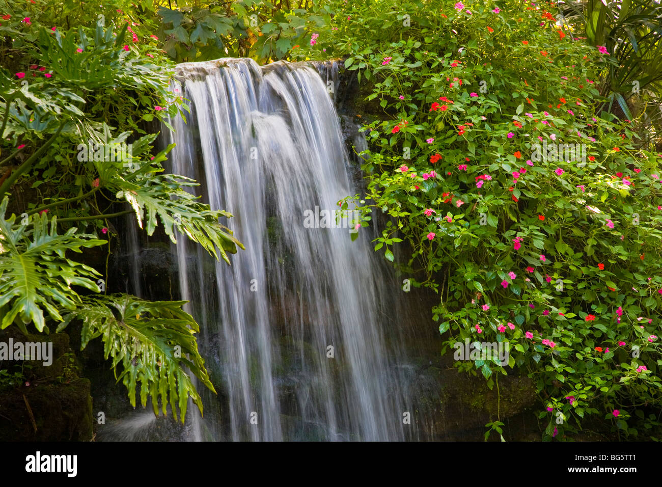 Small waterfalls in Rainbow Springs State Park Florida Stock Photo - Alamy