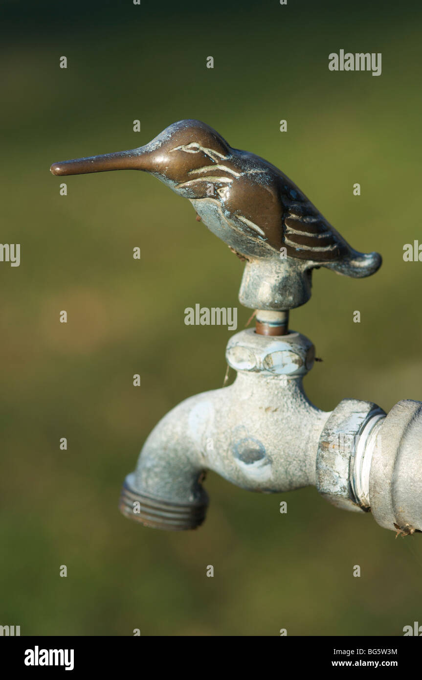 close up of garden tap with hummingbird as a handle Stock Photo - Alamy