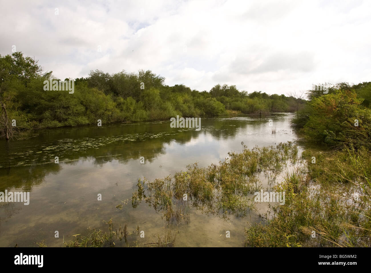 Resaca de la Palma State Park preserves 1,200 acres of wetland mature ...