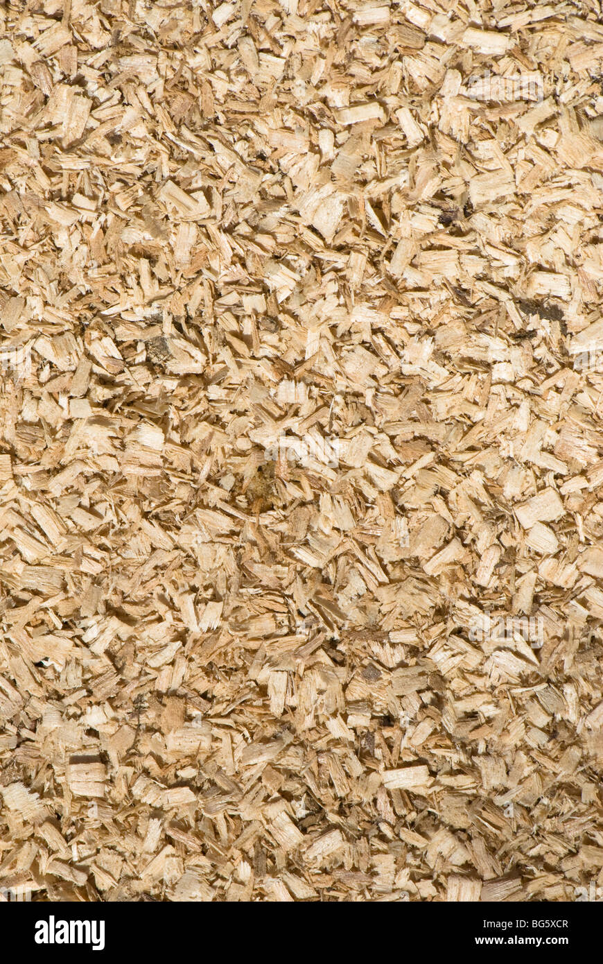 Timber logging canada quebec hi-res stock photography and images - Alamy