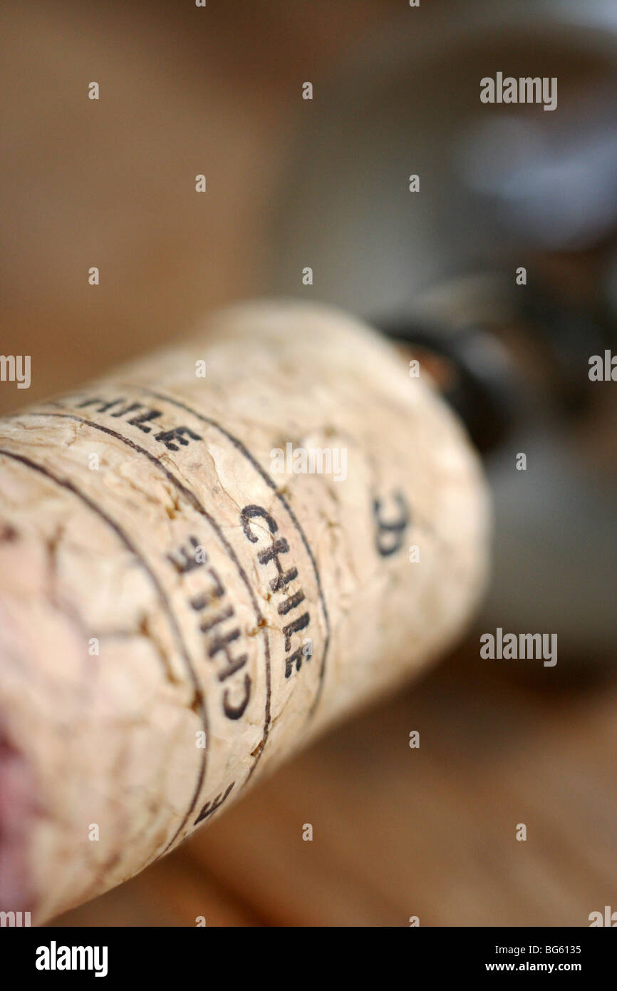 Cork cover hi-res stock photography and images - Alamy