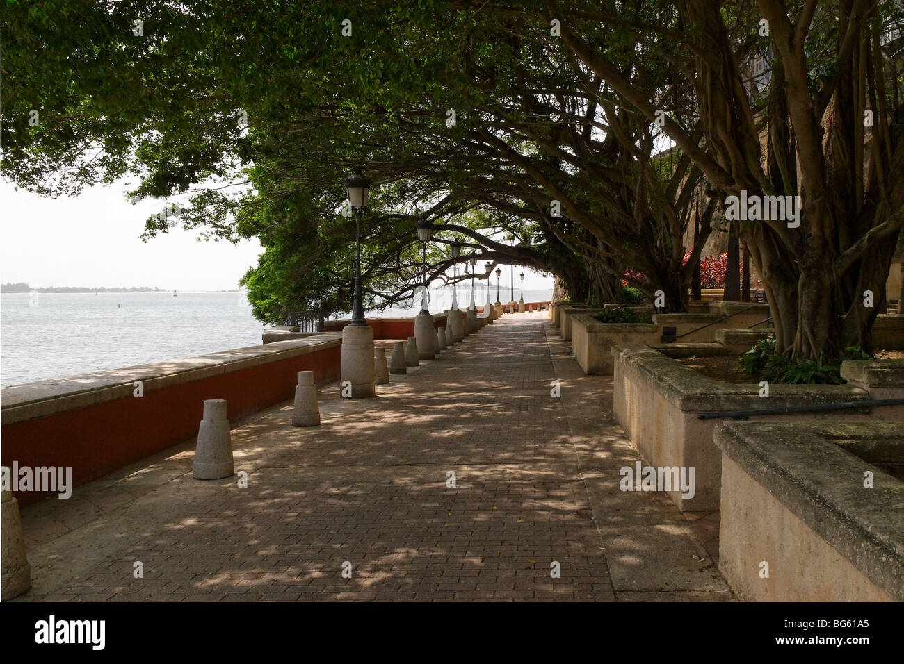 Shaded walkway hi-res stock photography and images - Alamy