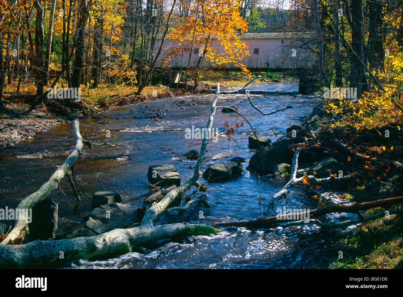 Covered Bridge View, Green Sergeants Bridge, Stockton, New Jersey Stock ...