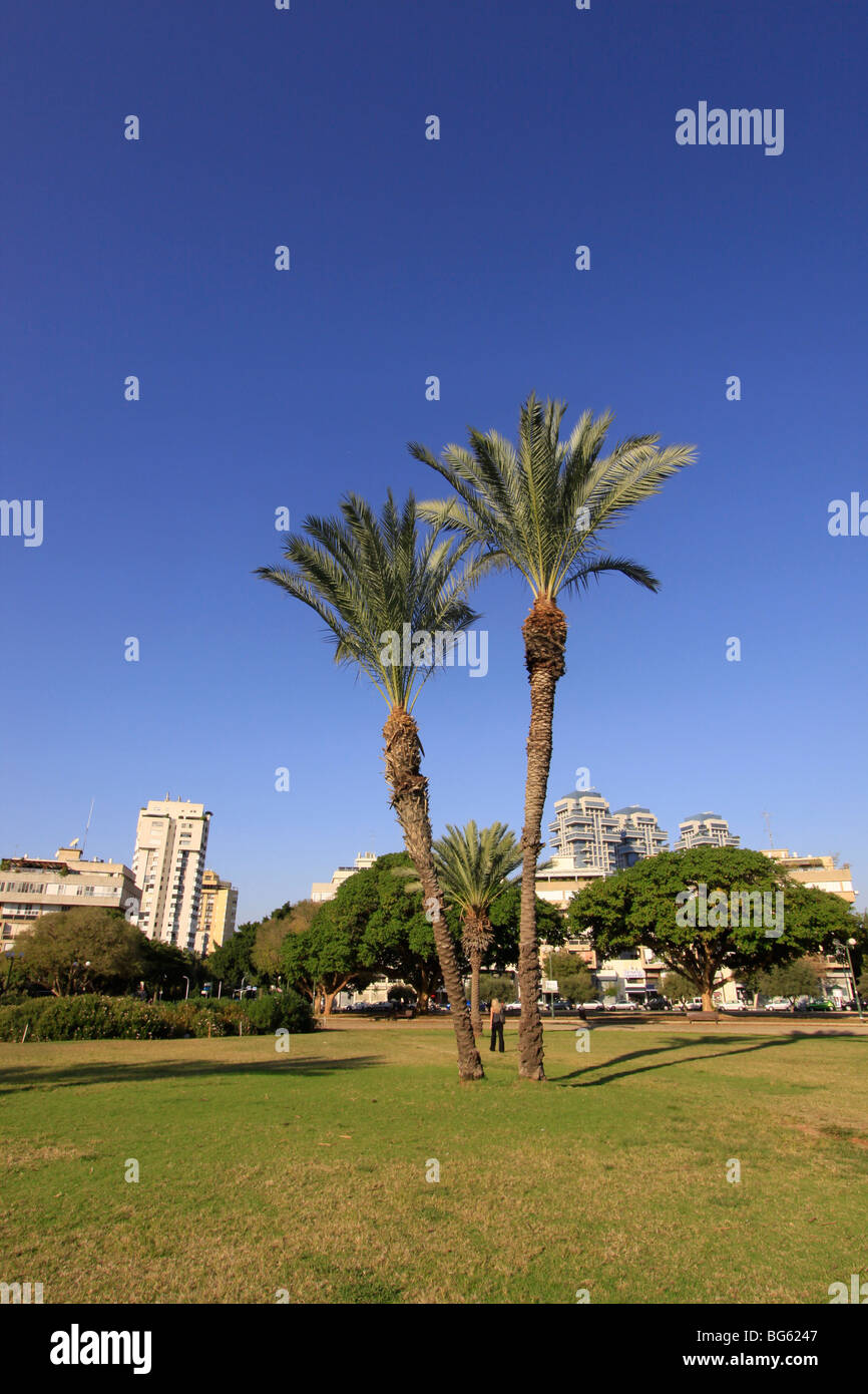 Kikar hamedina hi-res stock photography and images - Alamy