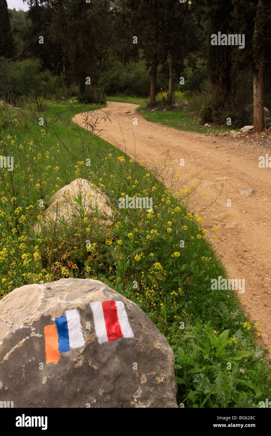 Israel, Jerusalem Mountains, Israel Trail in Nahal Ksalon Stock Photo ...
