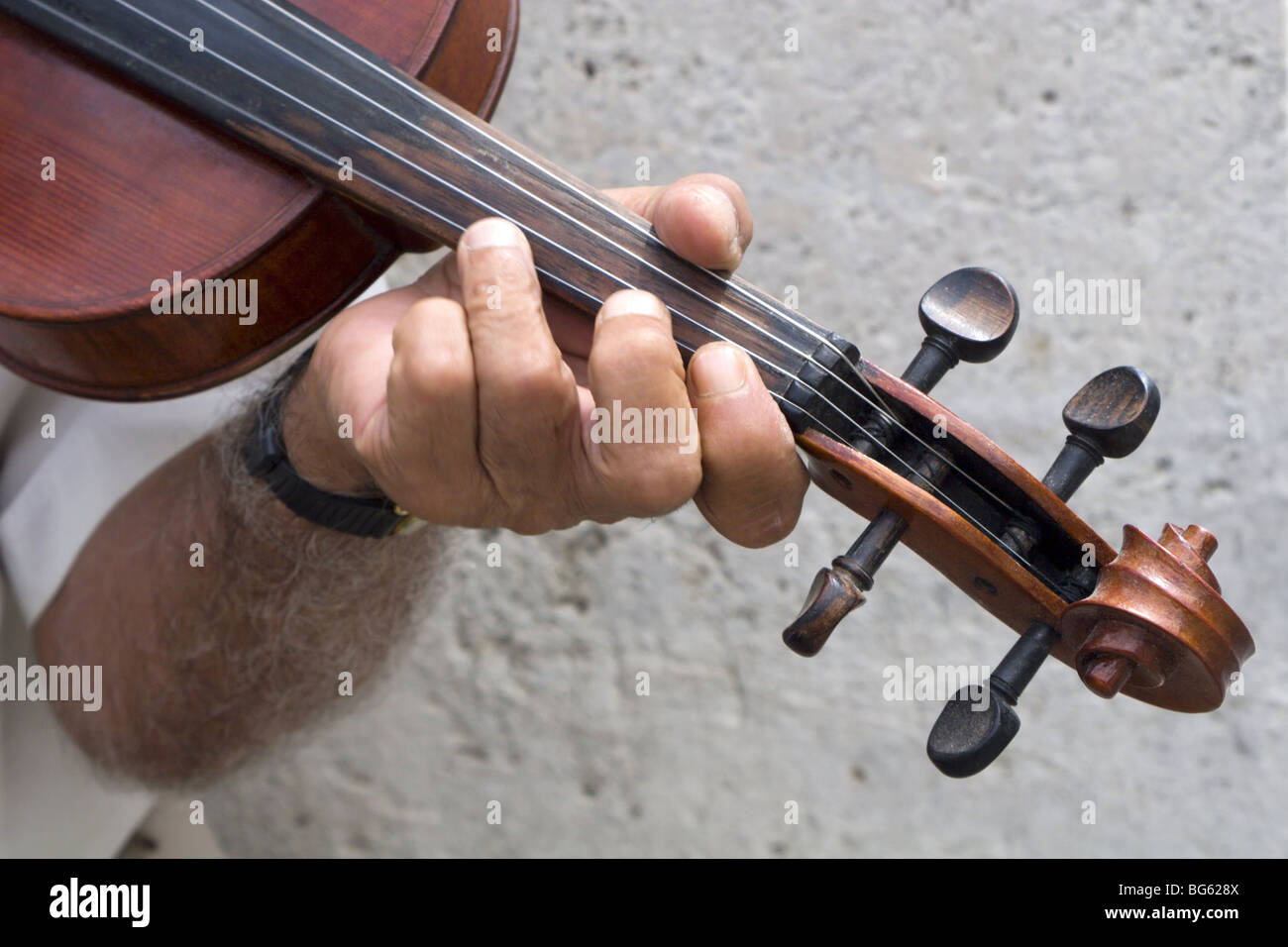 Man with fiddle hi-res stock photography and images - Alamy