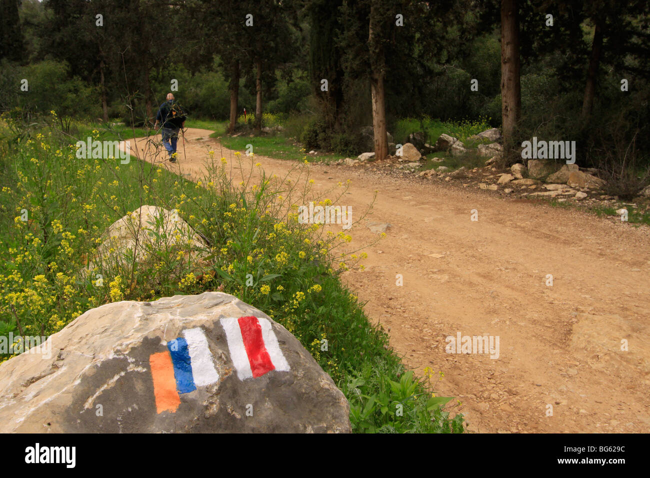 Jerusalem mountains martyrs forest hi-res stock photography and images ...
