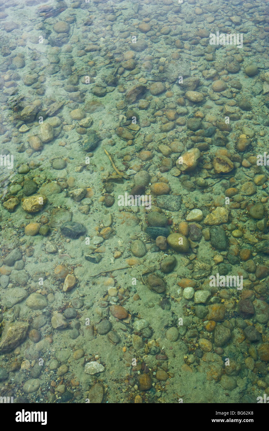 The lake bottom near shore of Jenny Lake, Grand Tetons National Park ...