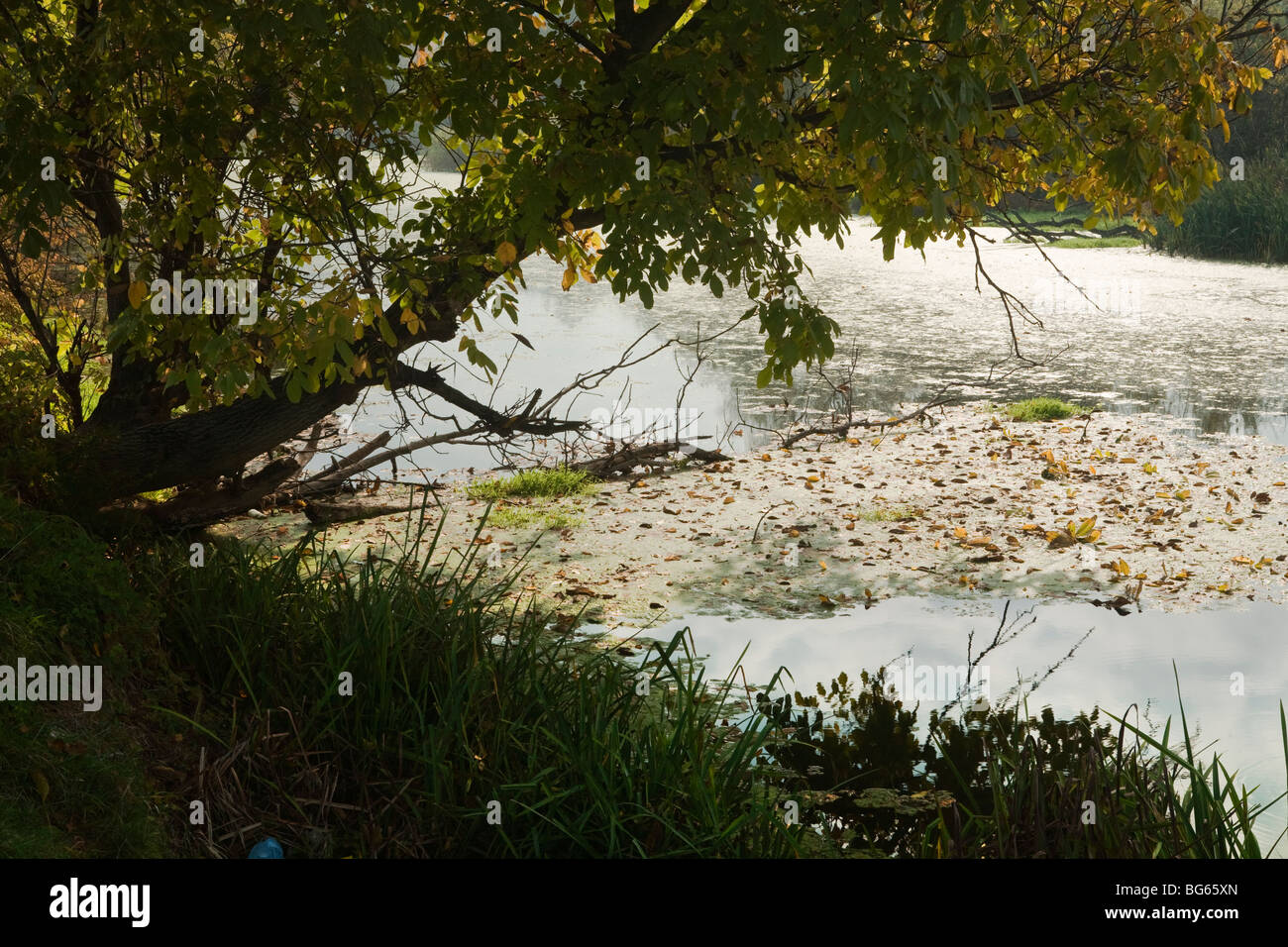 Lovech osum hi-res stock photography and images - Alamy