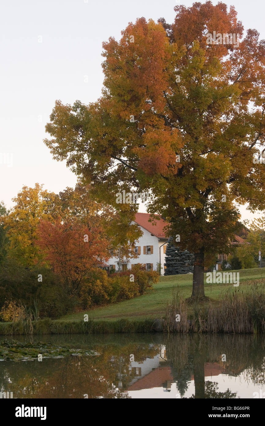Germany, Bavaria, autumn in Rosenau Stock Photo - Alamy