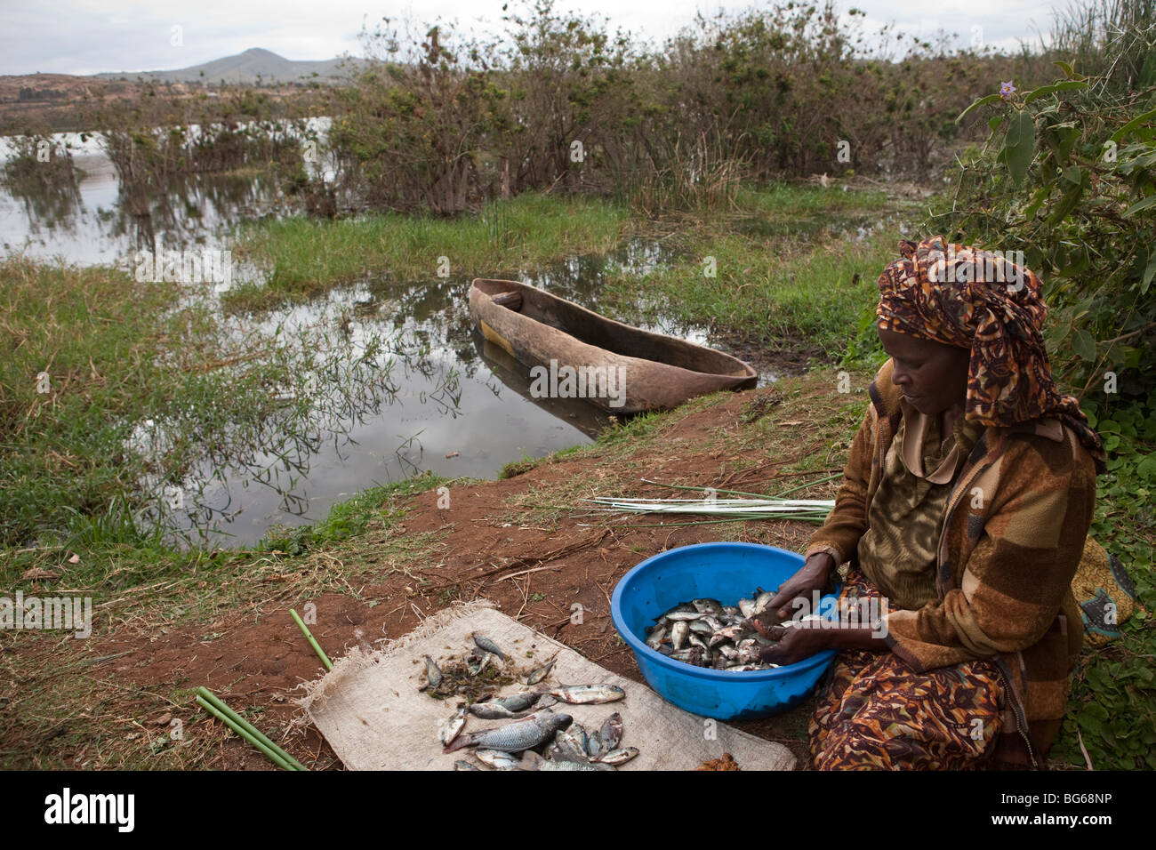 Portrait of a woman gutting fish hi-res stock photography and images ...