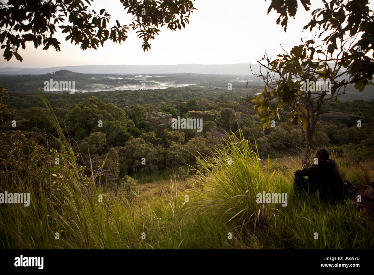 Rain forest kenya hi-res stock photography and images - Alamy