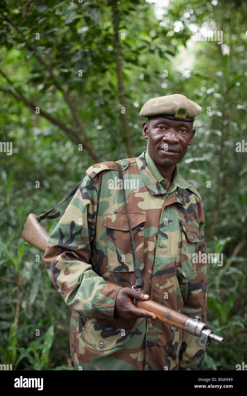 An armed ranger keeps watch over the Kakamega Forest Reserve in Western ...