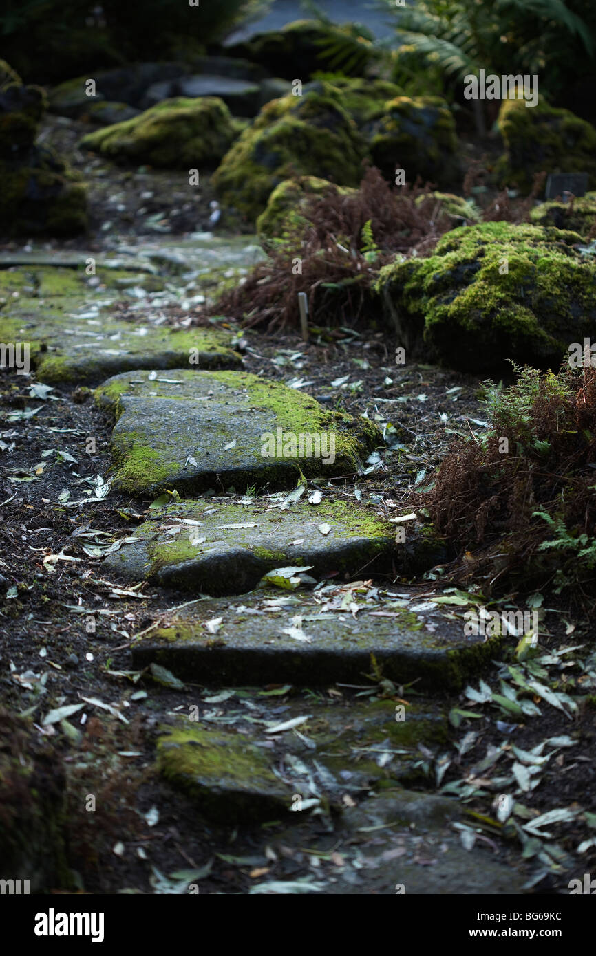 Old stone path in the "Grasagardur Park" in Reykjavik, Iceland Stock ...