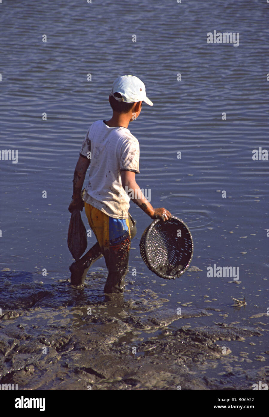 Searching fish hi-res stock photography and images - Alamy