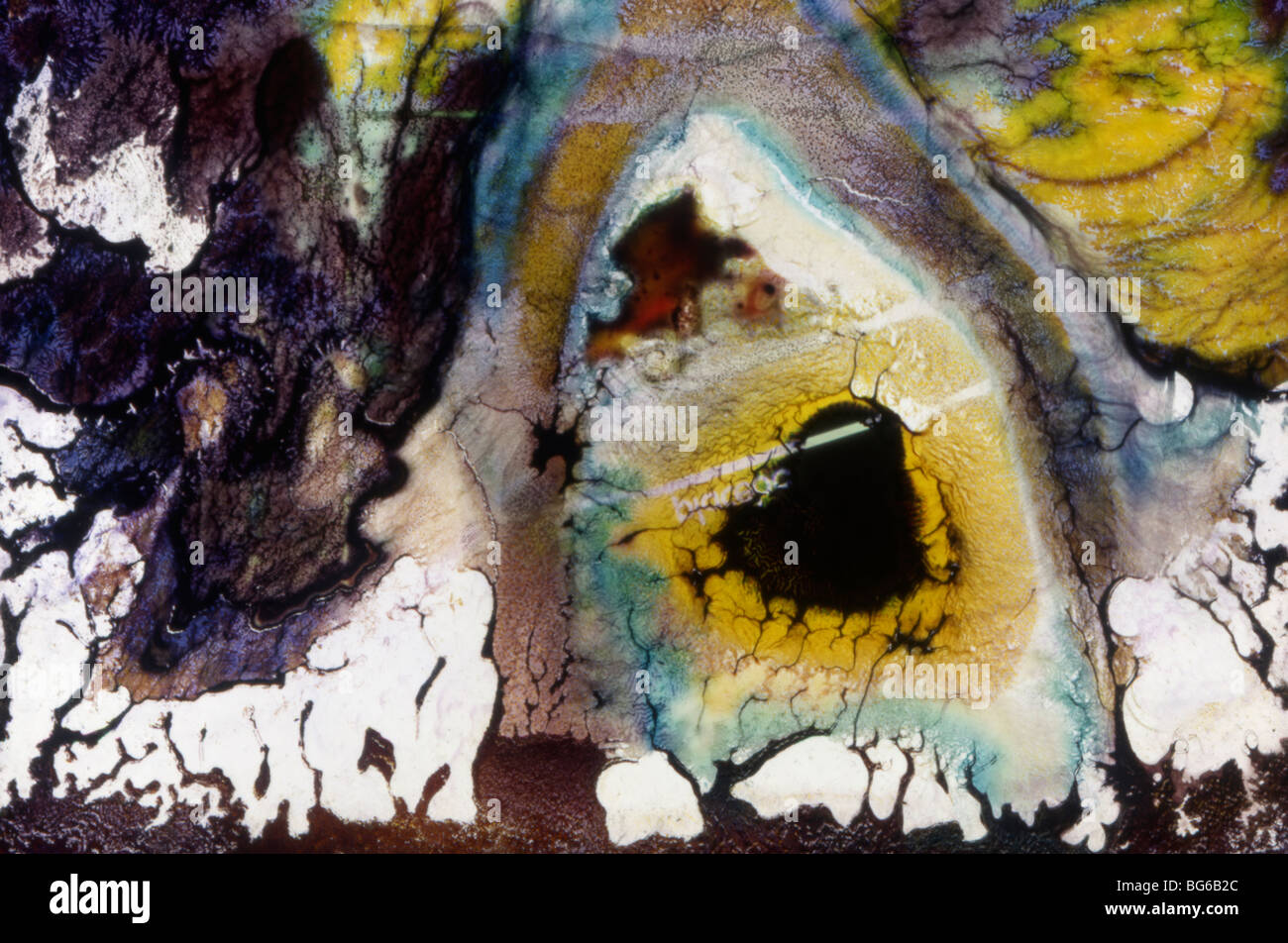 organically altered 35mm transparency resulting in unique abstract ...