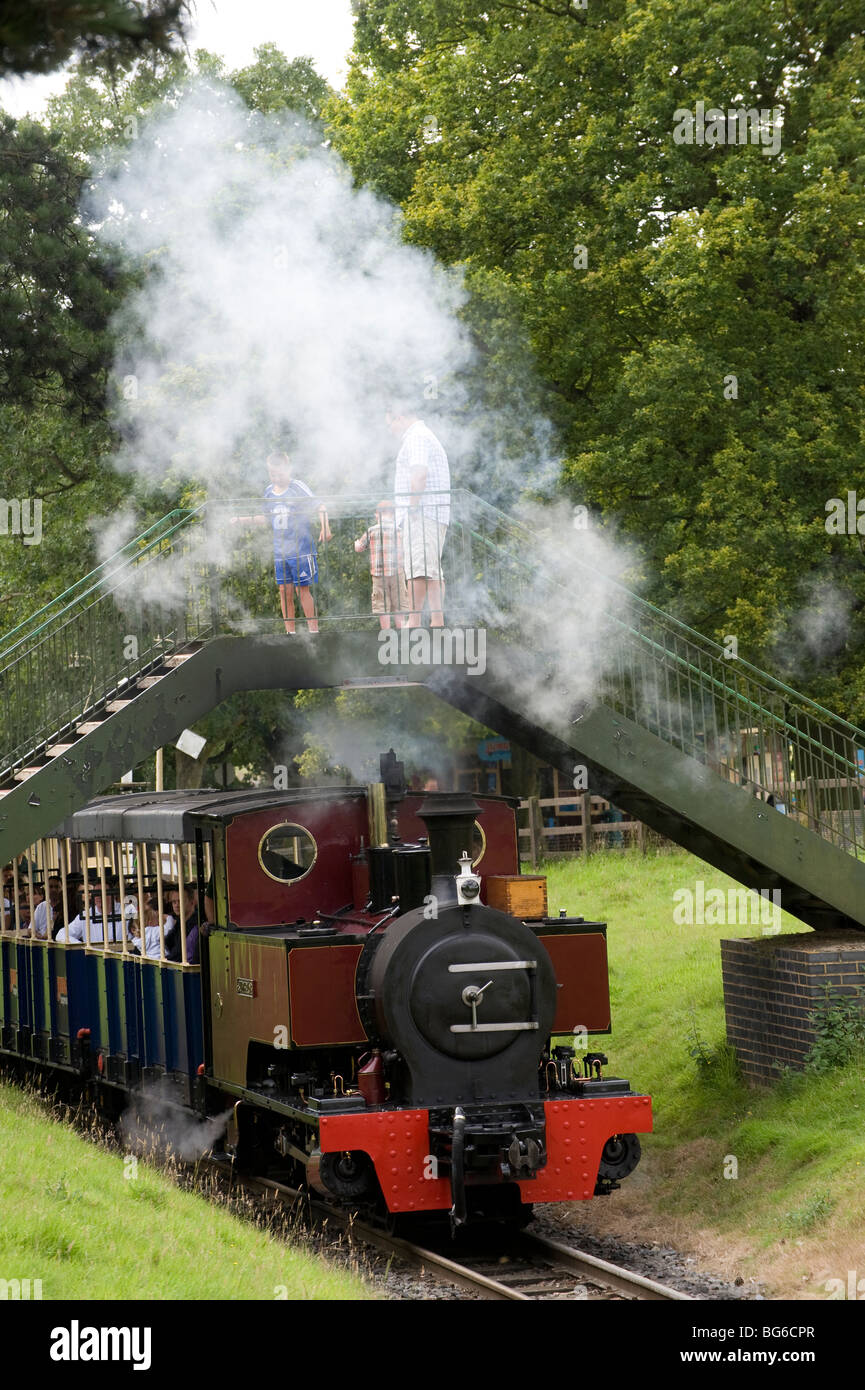 Steam train at whipsnade zoo hi-res stock photography and images - Alamy