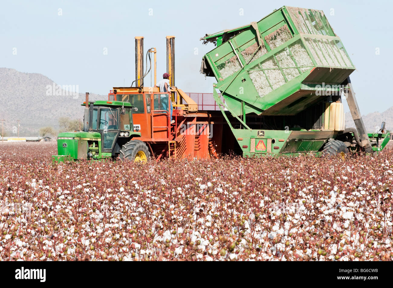 Cotton module builder hi-res stock photography and images - Alamy
