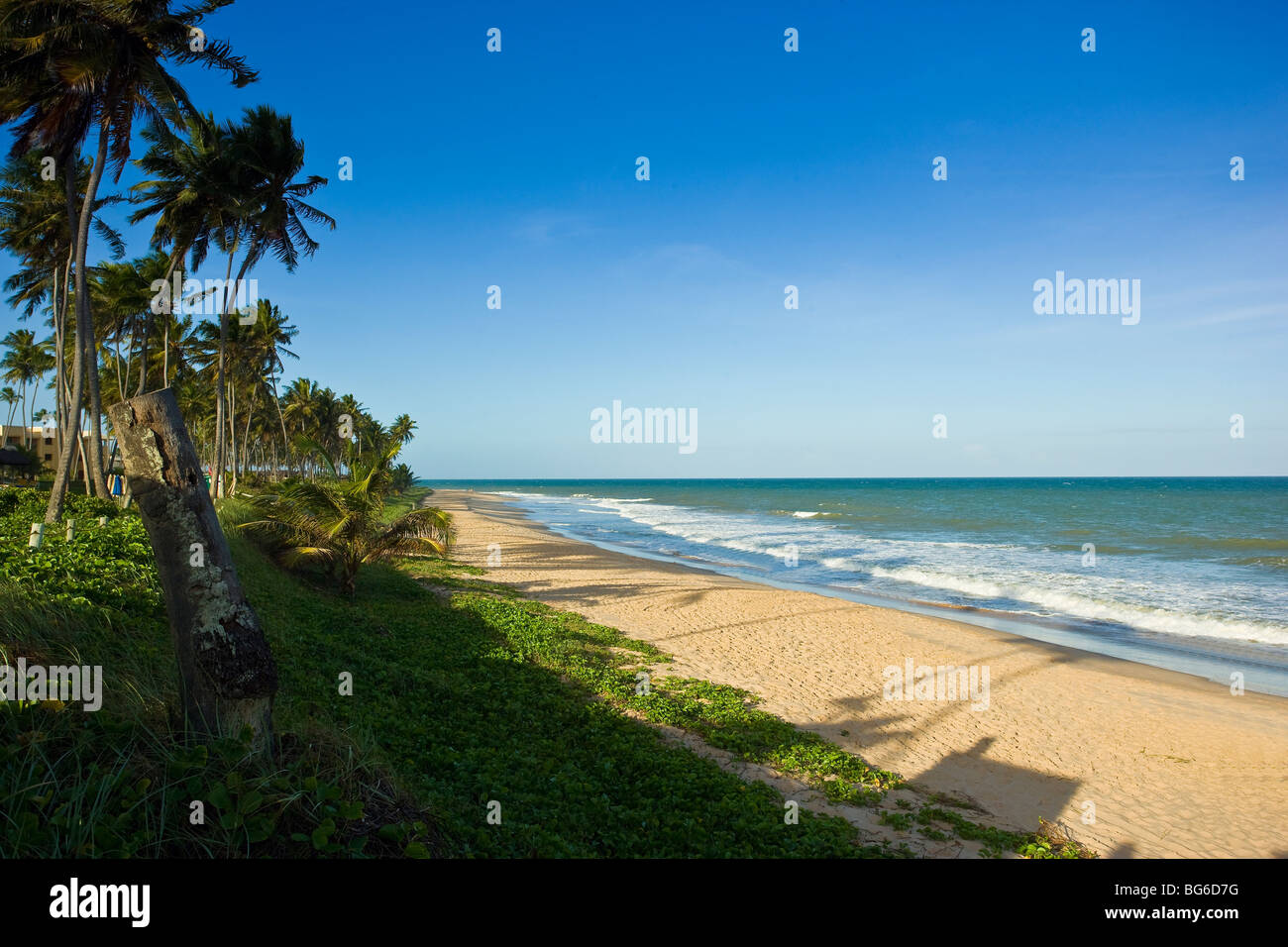 A beach in Praia do Forte, State of Bahia, BA, Brazil.// Praia do Forte ...
