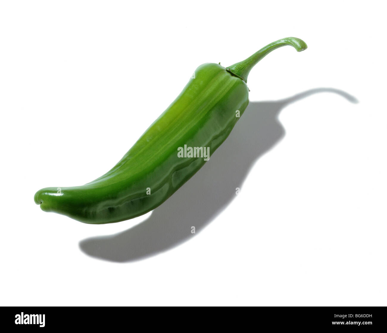Green Anaheim chili pepper on white Stock Photo - Alamy