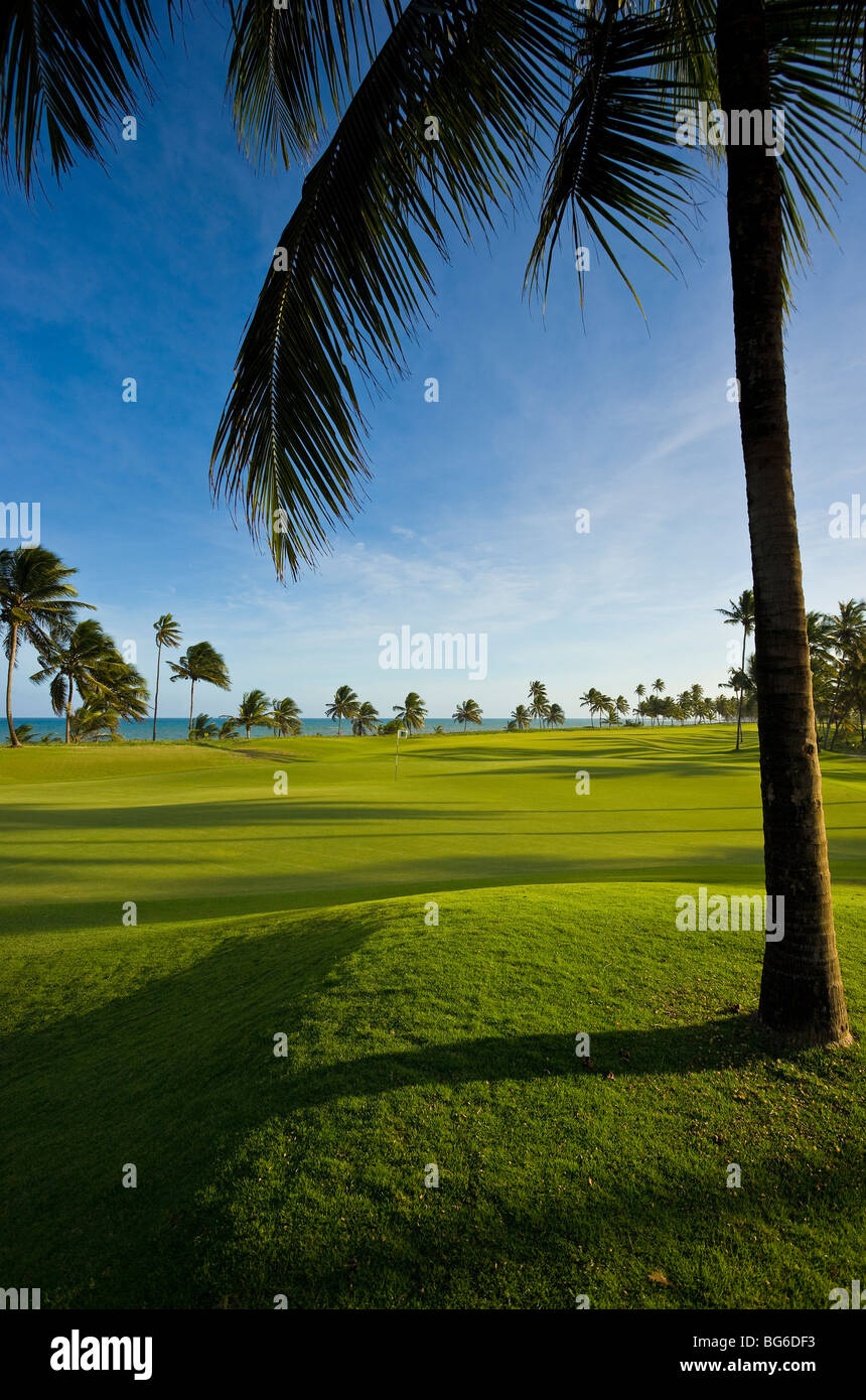 Campo de golf hi-res stock photography and images - Alamy
