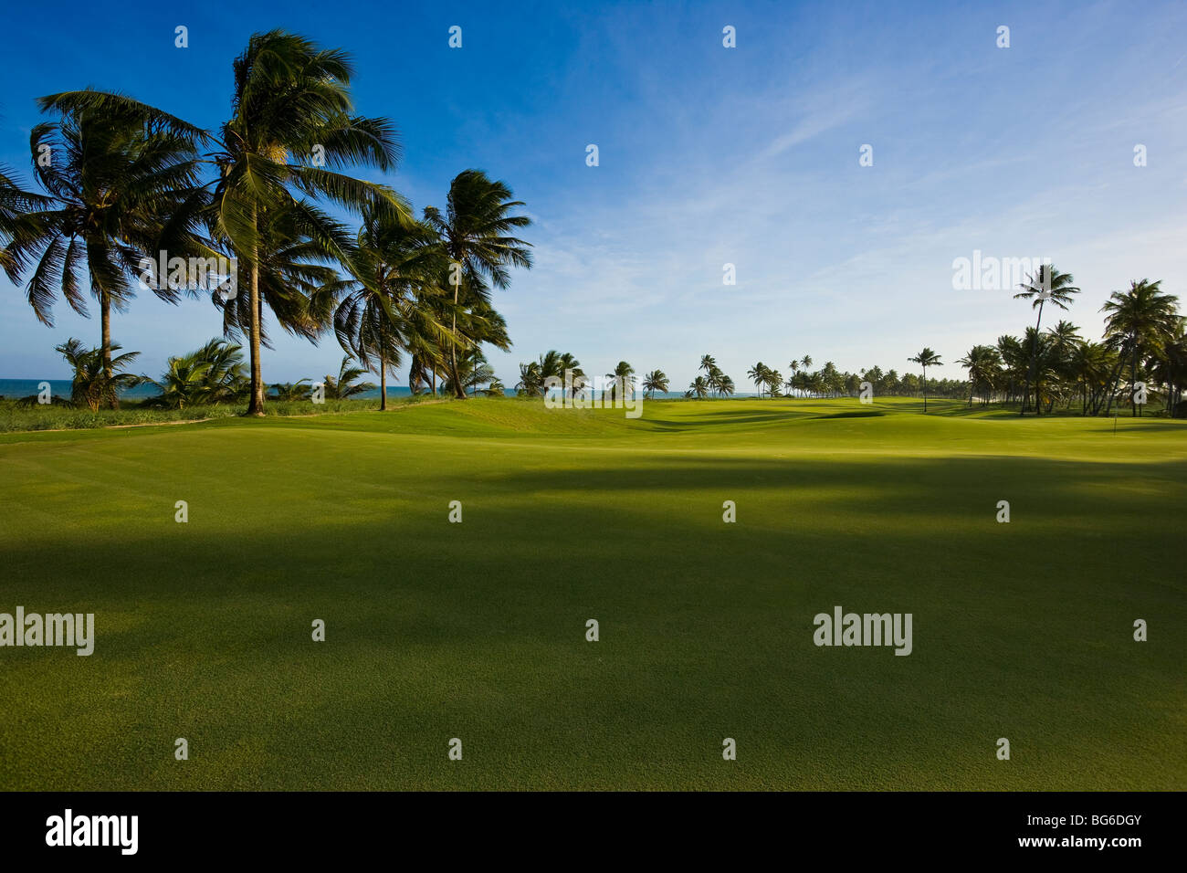 Campo de golf hi-res stock photography and images - Alamy