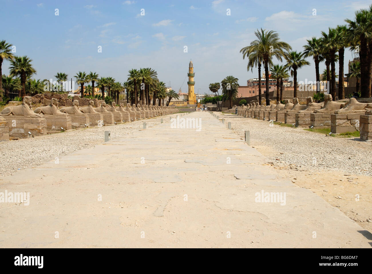 The dromos in the Temple of Luxor, Egypt Stock Photo - Alamy