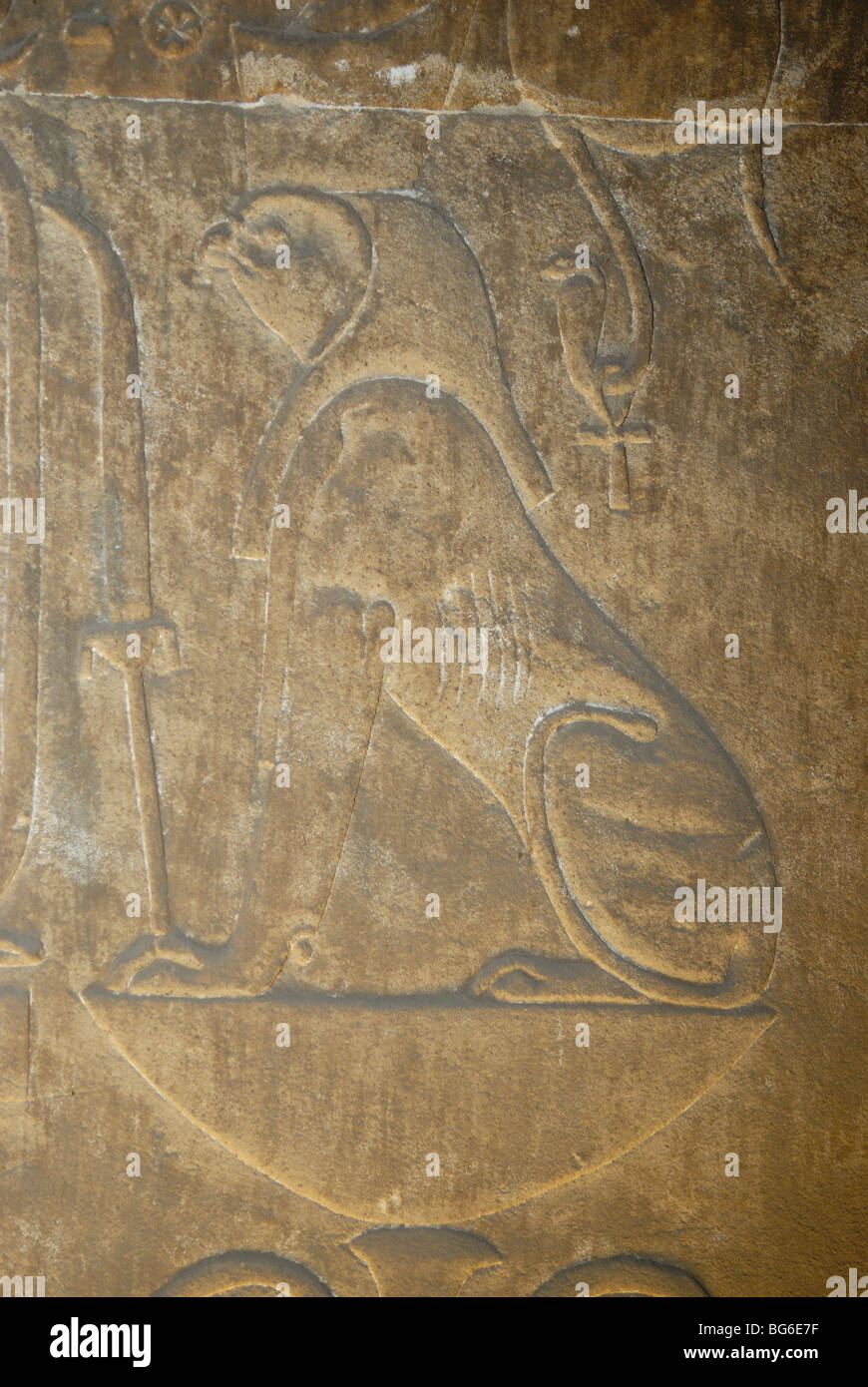 Hieroglyph showing Horus god on a wall at Edfu temple of Horus, Egypt ...