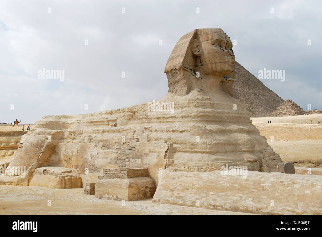 Statue of the Great Sphinx, Giza Plateau, Egypt Stock Photo - Alamy