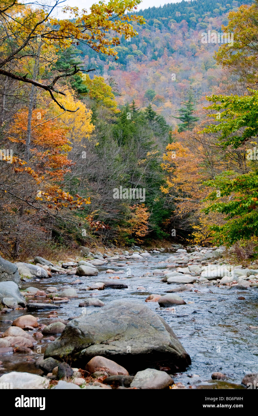 River Deerfield, Mohawk, Trail, Autumn Colours, Colors, Ash, Beach,Full ...