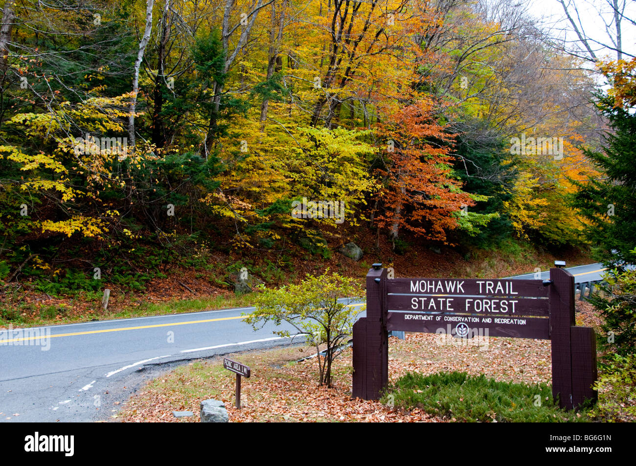 River Deerfield, Mohawk, Trail, Autumn Colours, Colors, Ash, Beach,Full ...