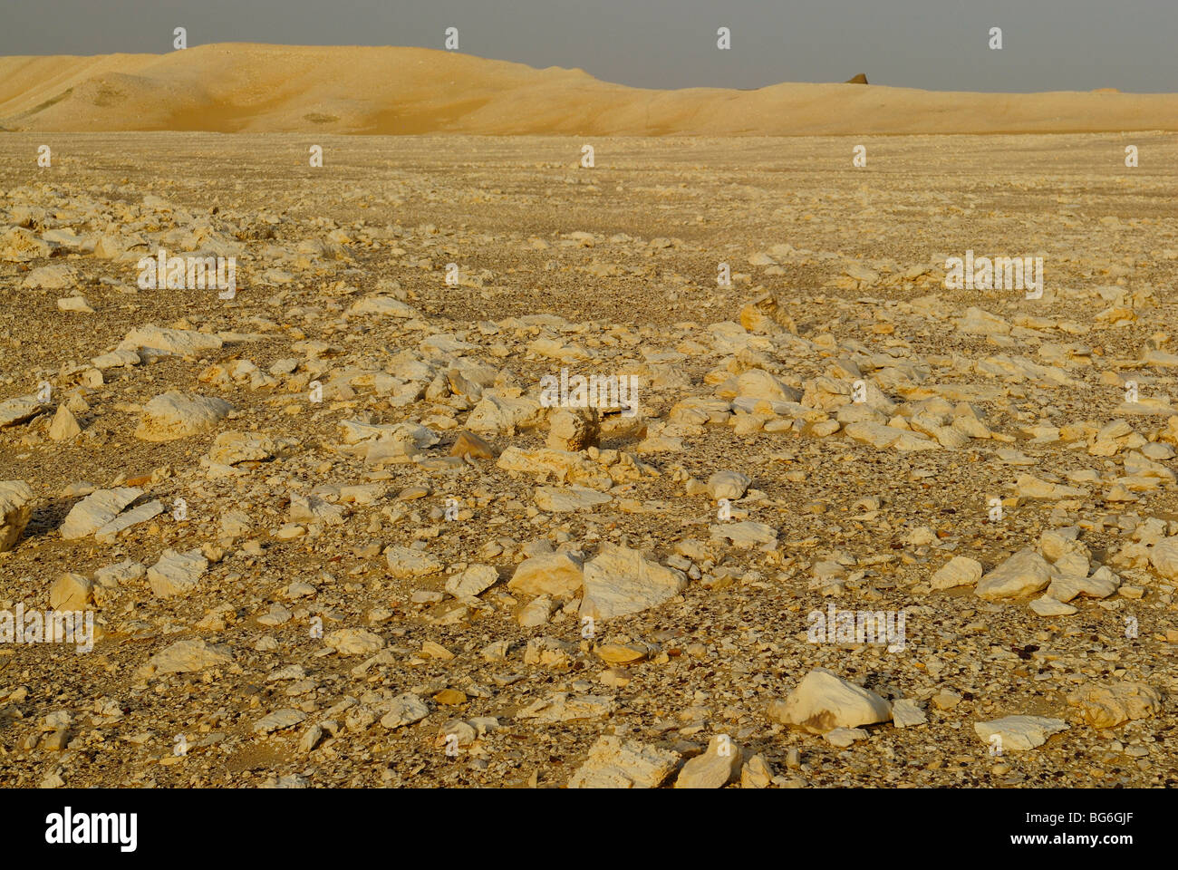 Sand dunes and rocks in the Western desert of Egypt Stock Photo - Alamy