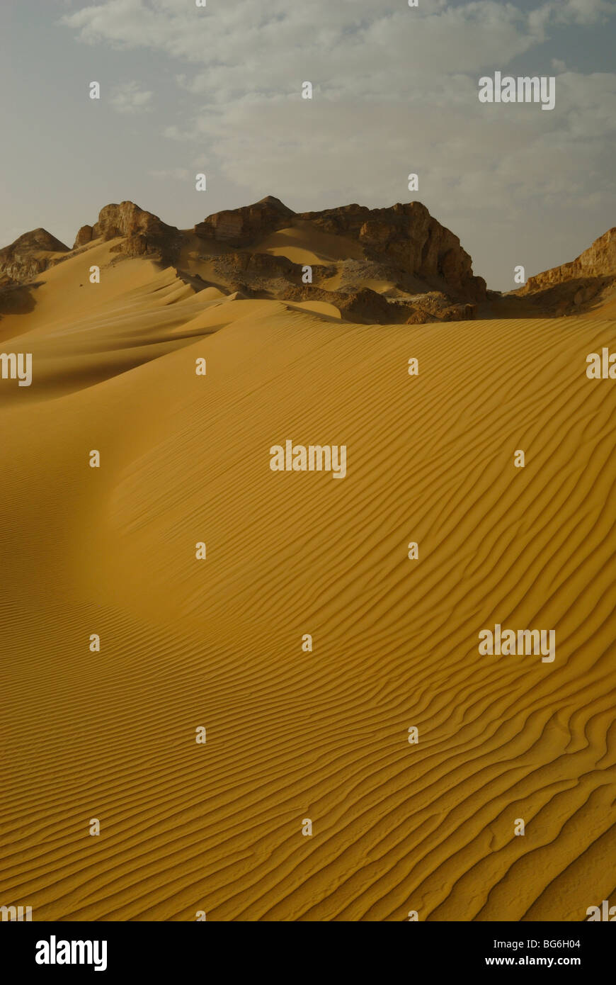 Top of a yellow sand dune in the Western desert of Egypt Stock Photo ...