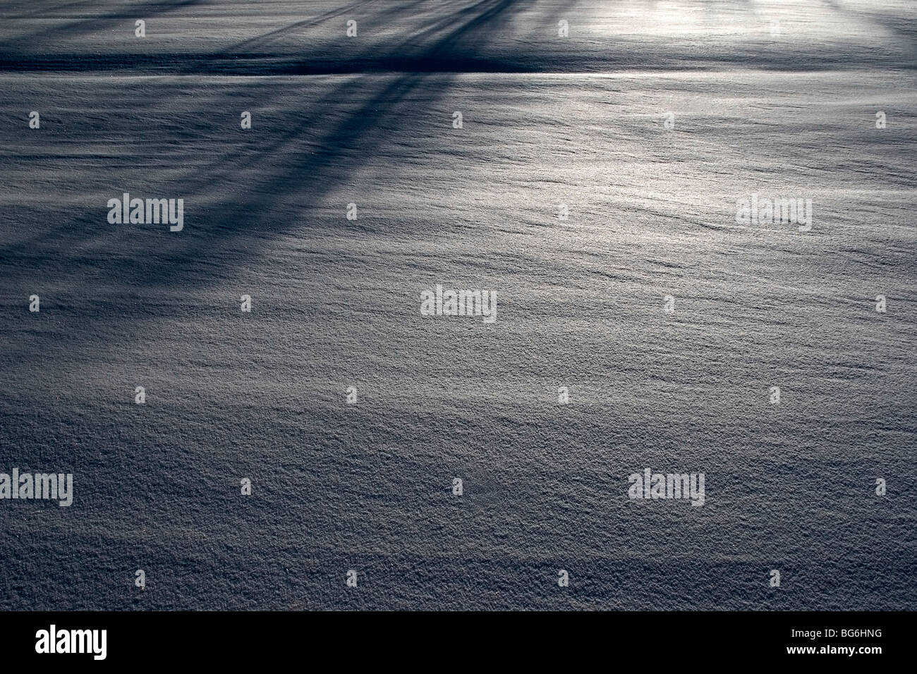 Tree shadow on fresh snow Stock Photo - Alamy