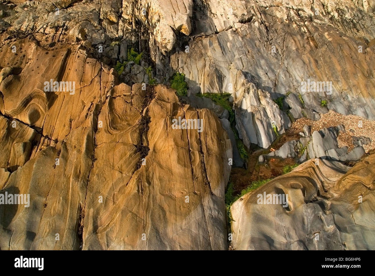 Rock surface, Highlands, Scotland Stock Photo - Alamy