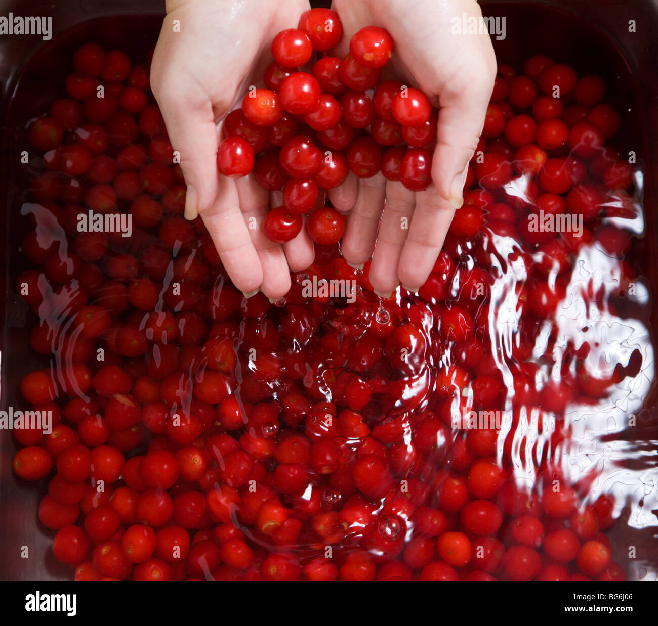 Cherries splash hi-res stock photography and images - Alamy
