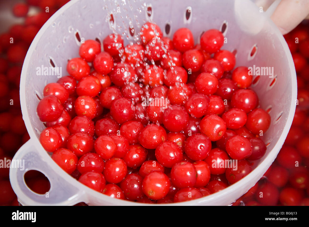 Washing fresh fruit hi-res stock photography and images - Alamy