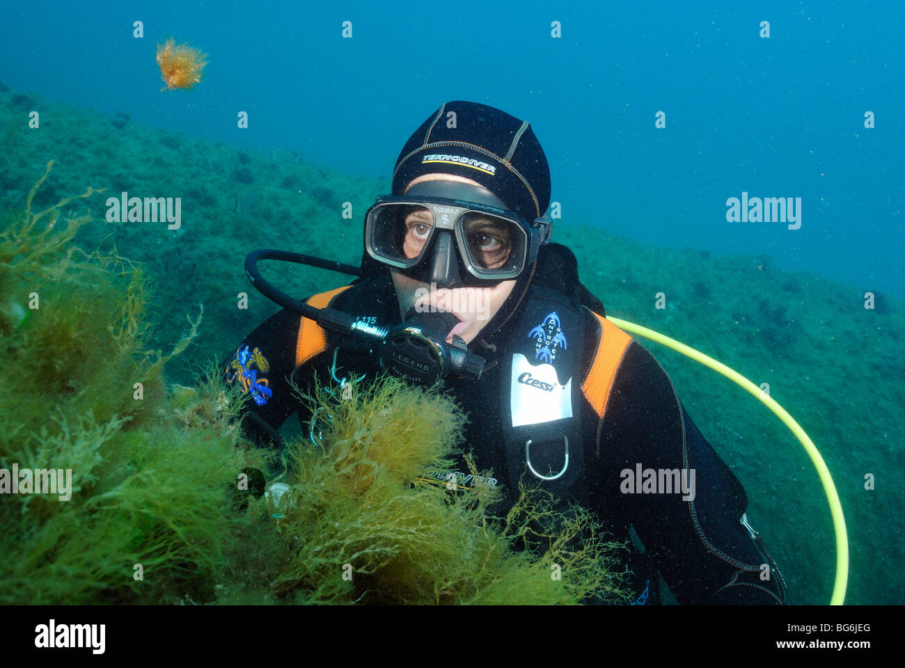 Scuba diver looking floating algae in the Mediterranean sea Stock Photo ...