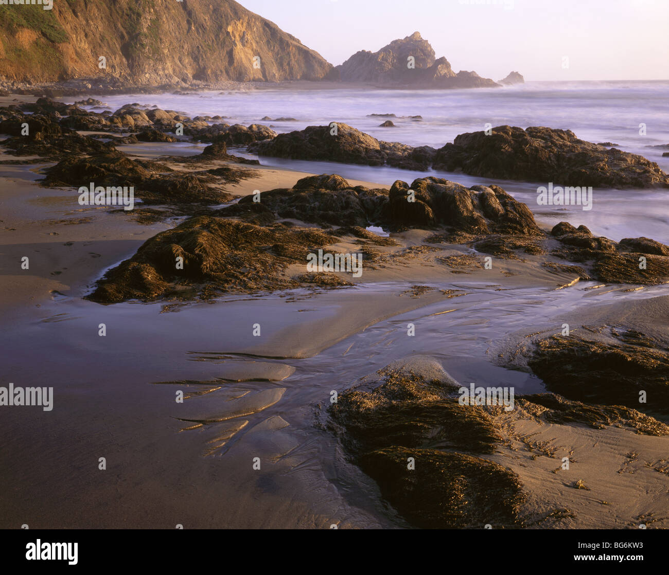 CALIFORNIA - Rocky shore of McClures Beach in Point Reyes National ...