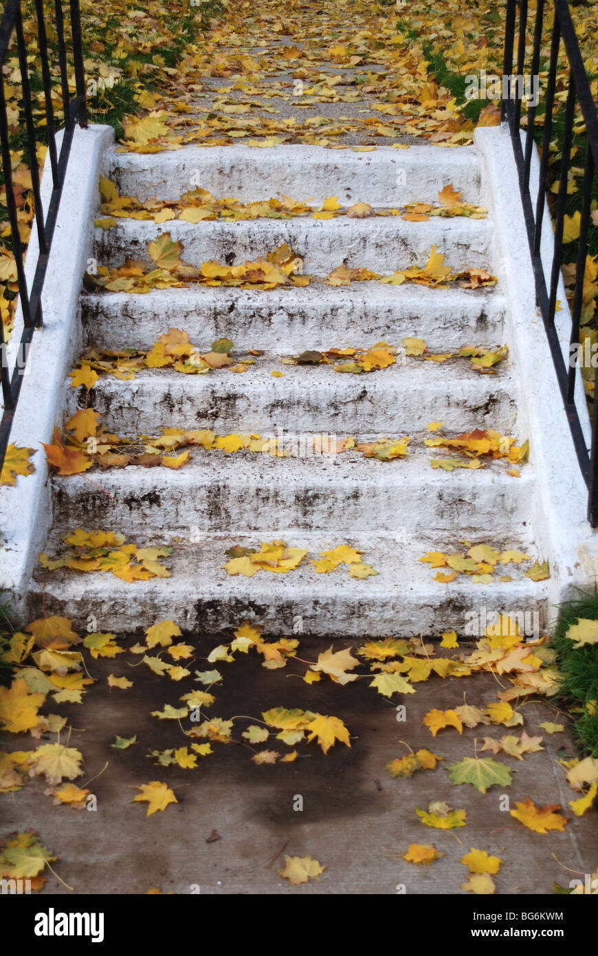 Welcome steps hi-res stock photography and images - Alamy