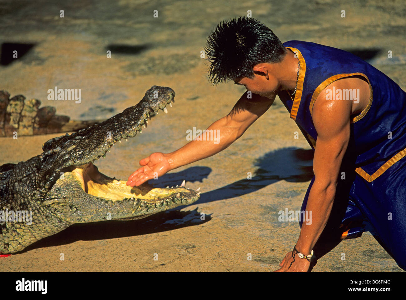 Ground crocodile hi-res stock photography and images - Alamy