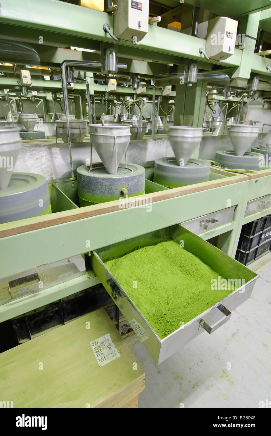 A macha factory, Uji city, Kyoto prefecture, Japan, August 1, 2006 ...