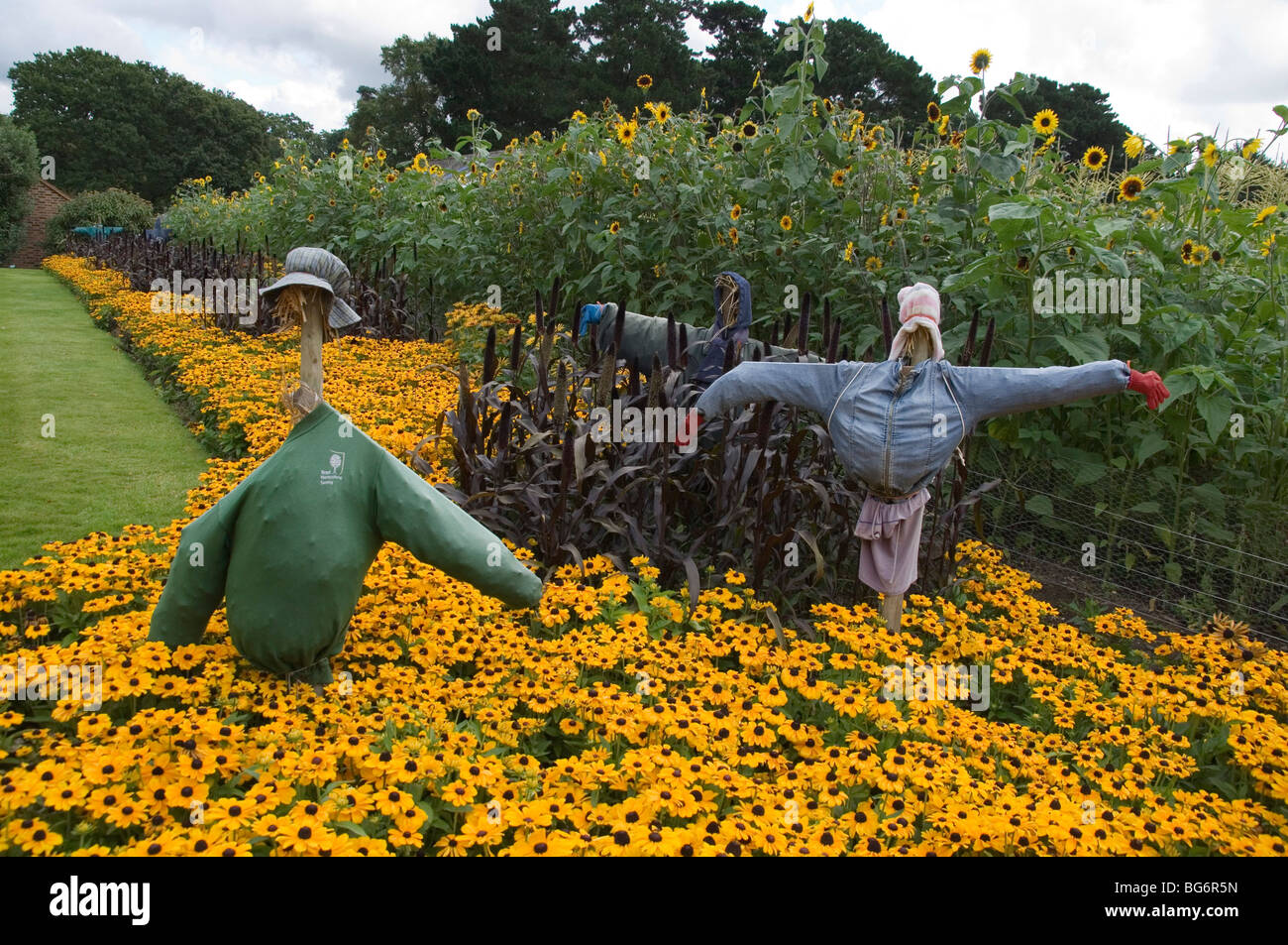 Sunflower scarecrow hi-res stock photography and images - Alamy