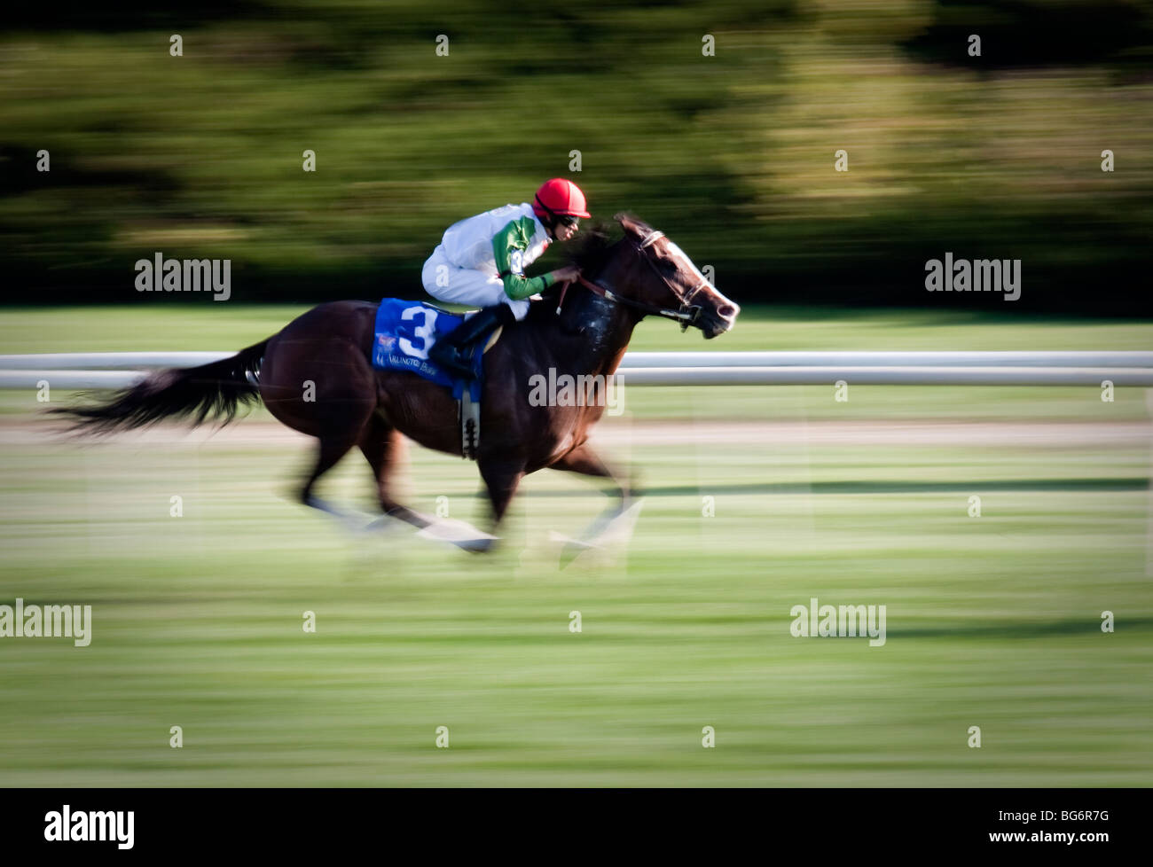 Horse racer at Arlington Park racetrack, Illinois Stock Photo - Alamy