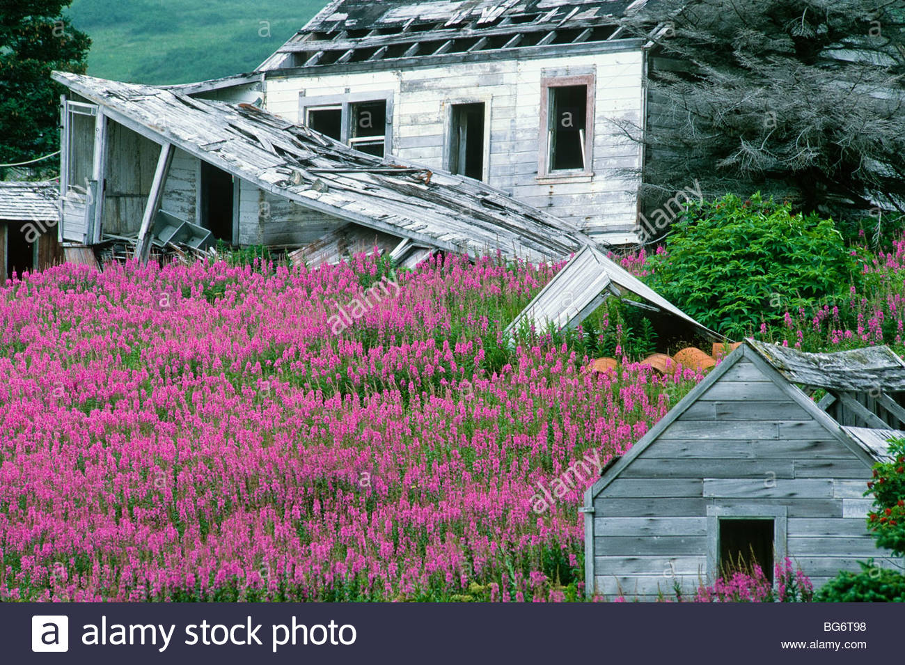 Alaska Aleutian Islands Unga Island Stock Photos & Alaska Aleutian ...