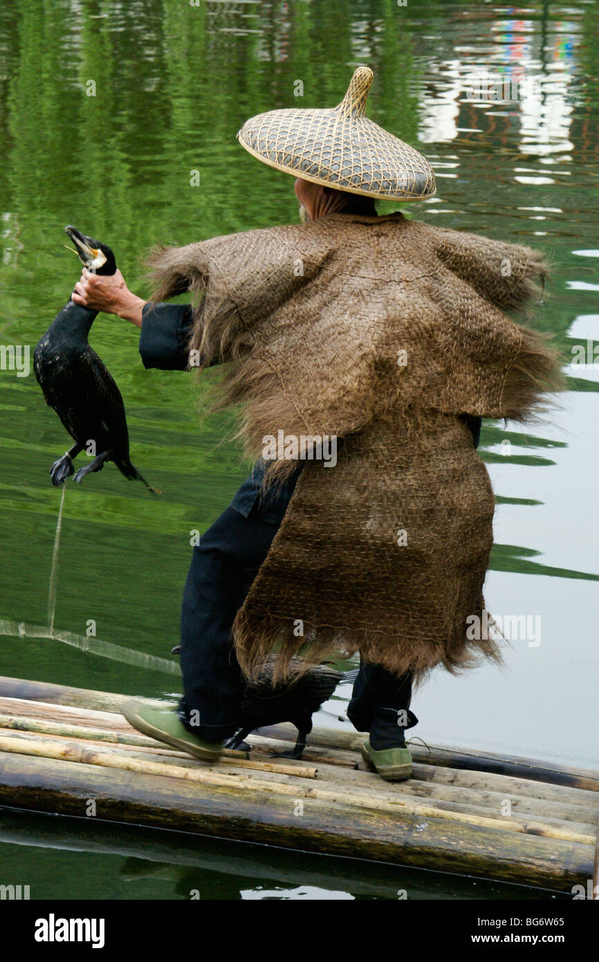Cormorant fisherman birds bamboo hi-res stock photography and images ...