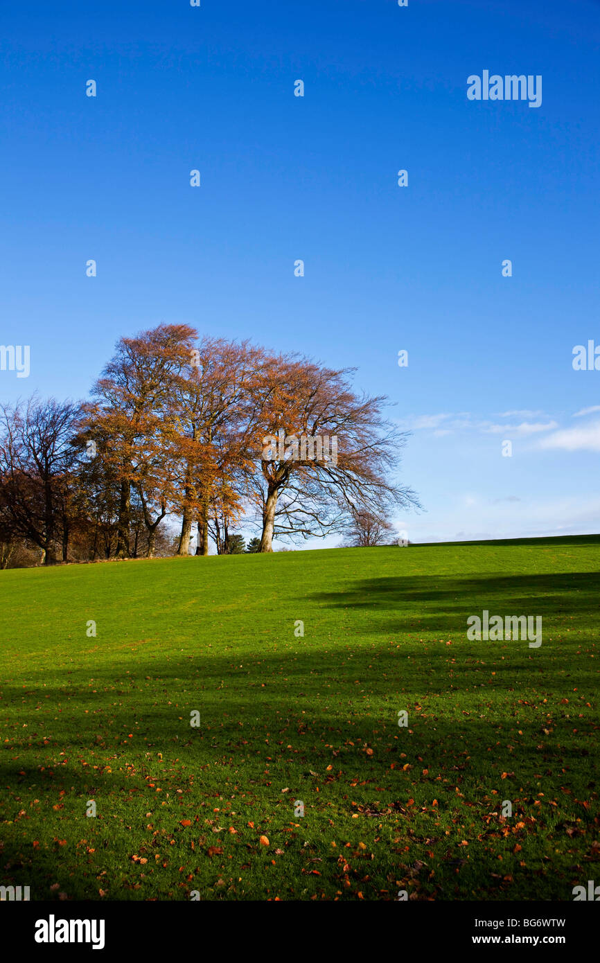 A landscape view Stock Photo - Alamy